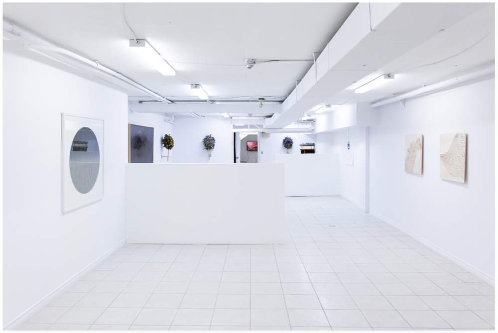 Art In Real Life: the plumb is Toronto’s Underground Gallery Bringing ...